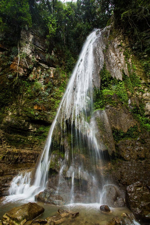 Tropical Waterfall at Xilitla Ruins Stock Image - Image of forest ...