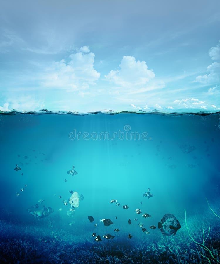 Tropical waters stock photo. Image of light, beneath - 66009542