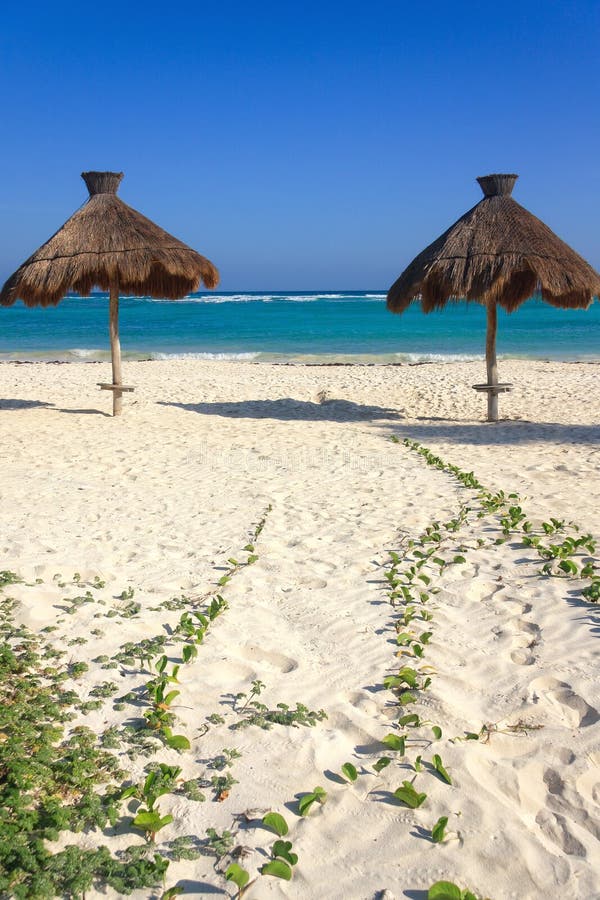 Tropical White Sand Beach stock photo. Image of caribbean - 17900576
