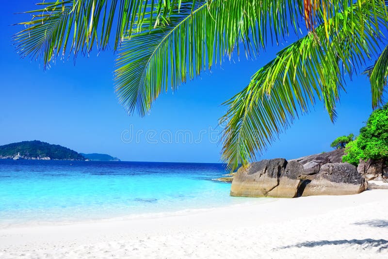 Tropical white sand beach stock photo. Image of panorama - 37716090