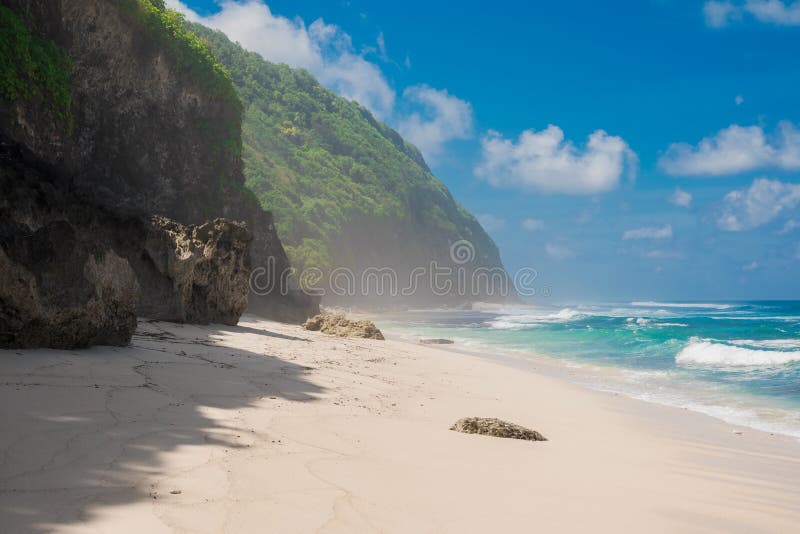 Tropical Wild Beach. Paradise Sandy Beach and Blue Ocean with Wave ...