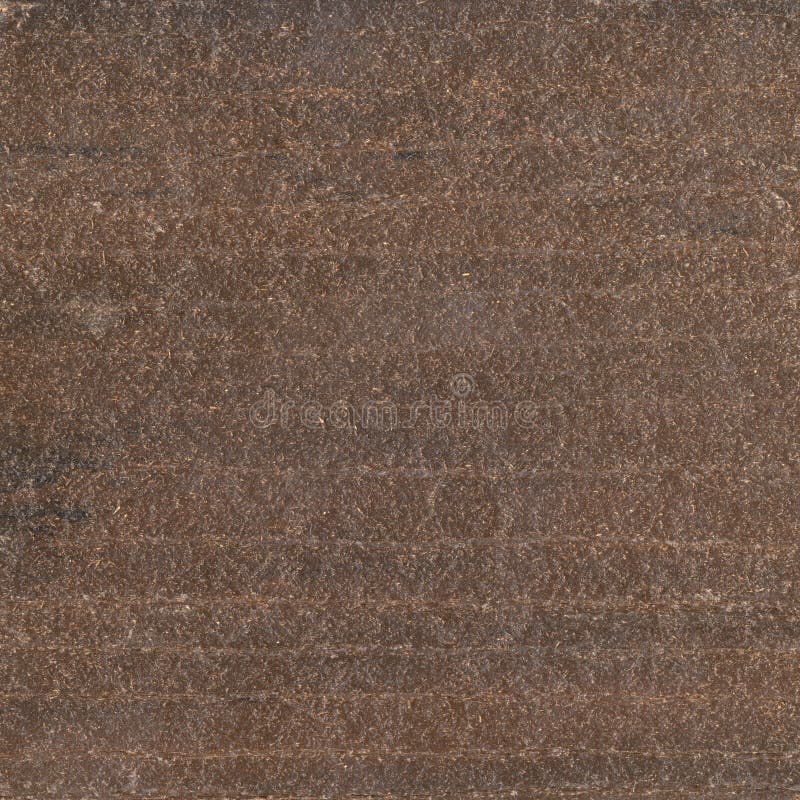 Tropical Wood Textures stock photo. Image of effect, wallpaper - 22398804