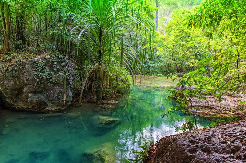 Tropics stock image. Image of landscape, tropics, humid - 94364825