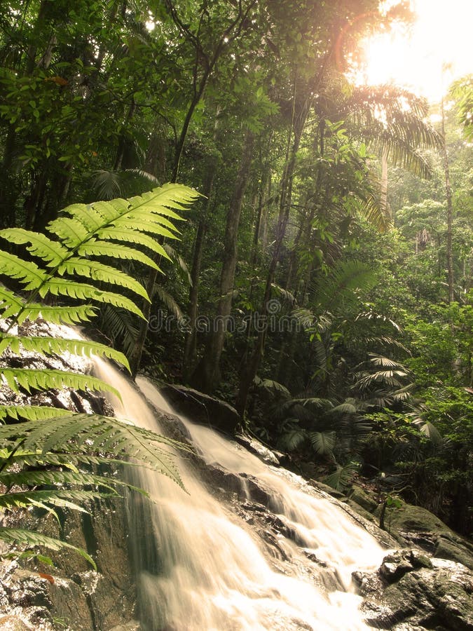Tropische Bos En Berg in De Mist in Sapa, Lao Cai-provincie Stock ...