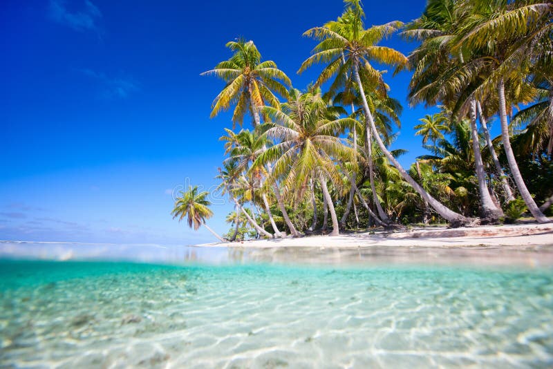 Tropisch eiland stock foto. Image of idyllisch, mooi - 26994940