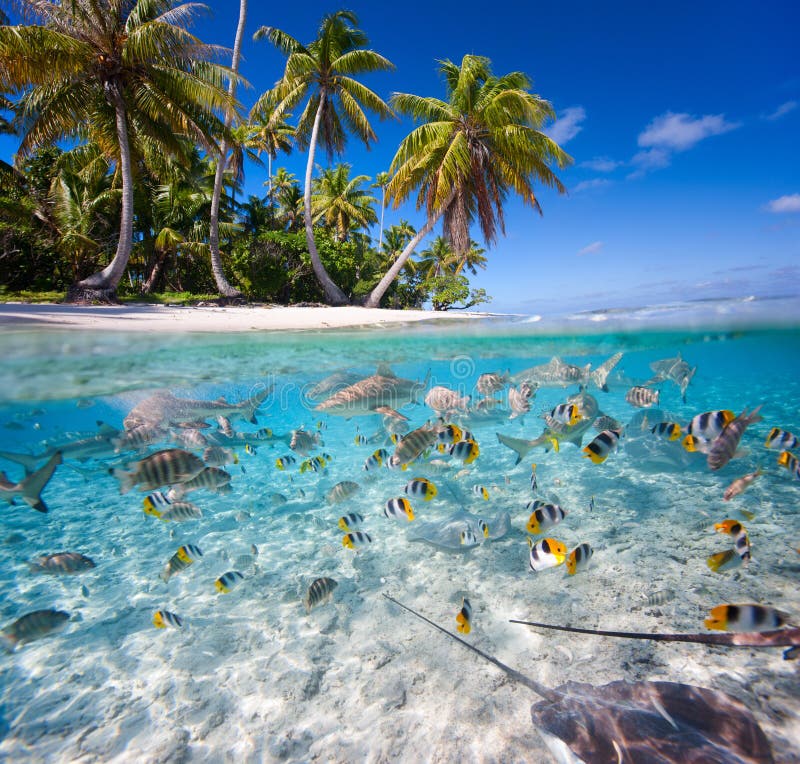 Tropisch eiland stock foto. Image of kustlijn, perfect - 37402018