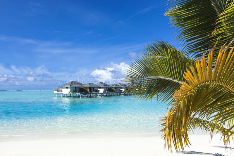 Tropisch eilandstrand stock afbeelding. Image of ontspanning - 33241341