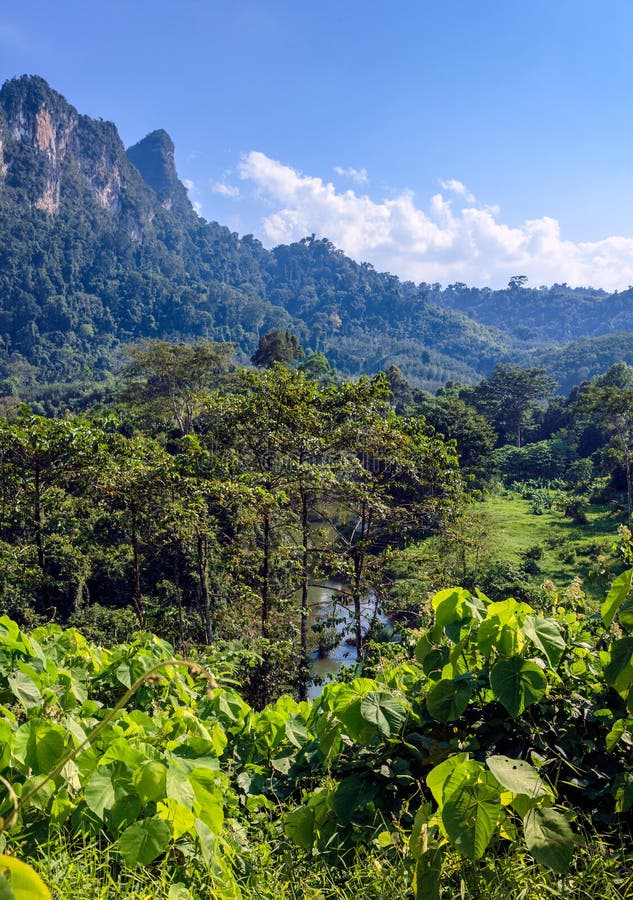 Tropisch landschap. stock afbeelding. Image of mist, schoonheid - 25850639