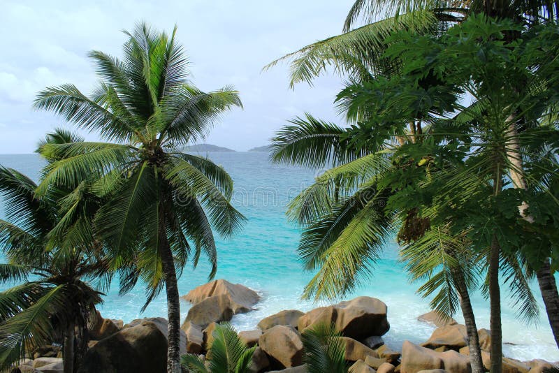 Tropisch landschap stock afbeelding. Image of tropisch - 36668681