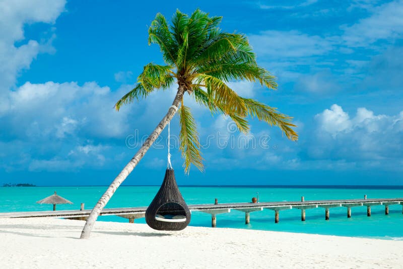 Tropisch Maldiven Eiland Met Strand Van White Sandy Stock Afbeelding ...