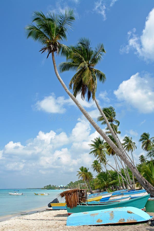 Tropisch Paradijs stock afbeelding. Image of landschap - 2286717