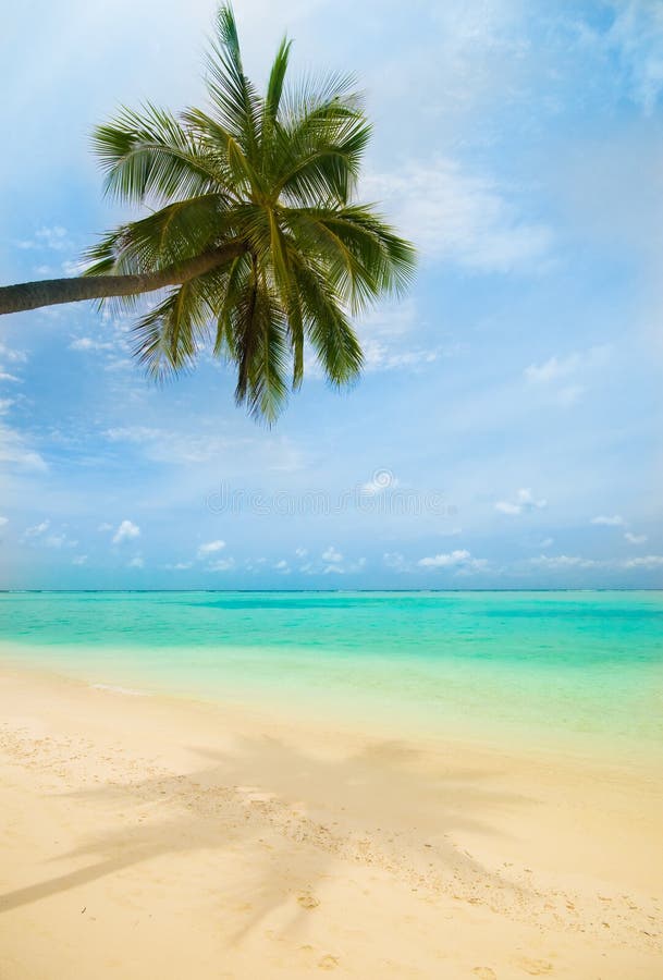 Tropisch Strand stock afbeelding. Image of blauw, wolk - 12449105