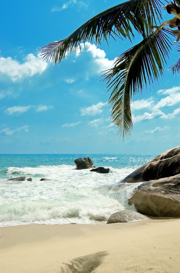 Tropisch strand stock foto. Image of nave, kleur, kustlijn - 15854046