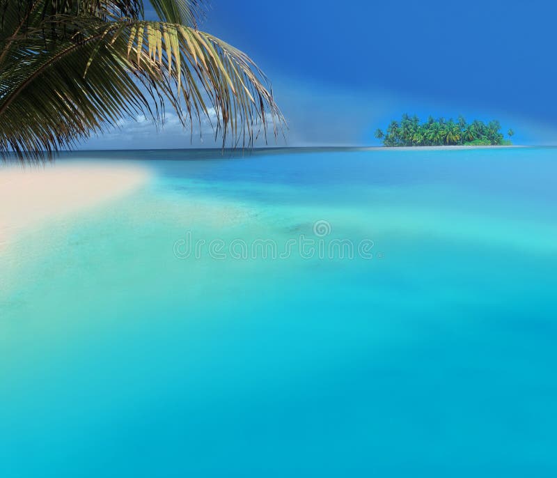 Tropisch Strand stock foto. Image of alleen, milieu, toevlucht - 17195644