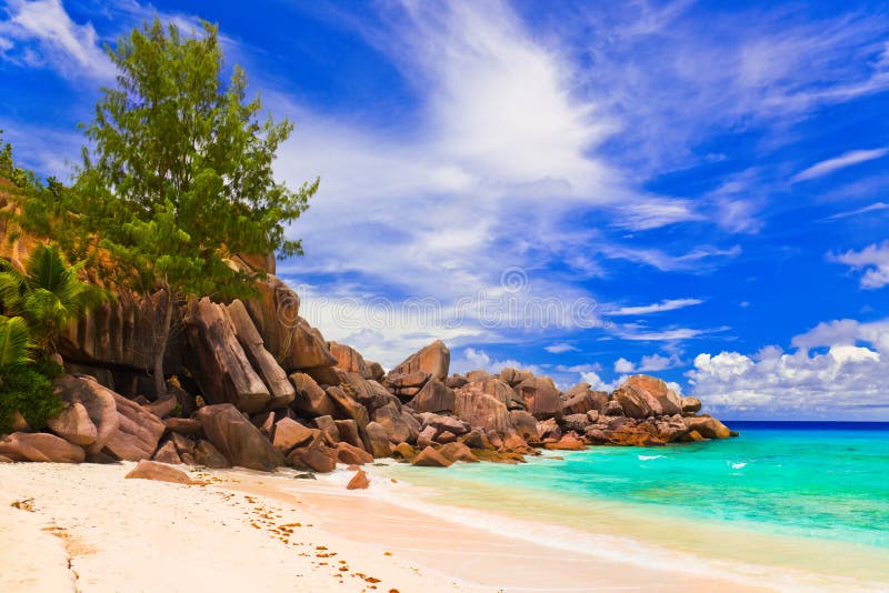 Tropische eilandaard stock afbeelding. Image of kust, eiland - 4583619