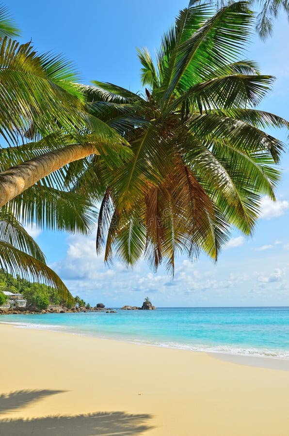 Tropische strand en baai stock afbeelding. Image of overzees - 1825041