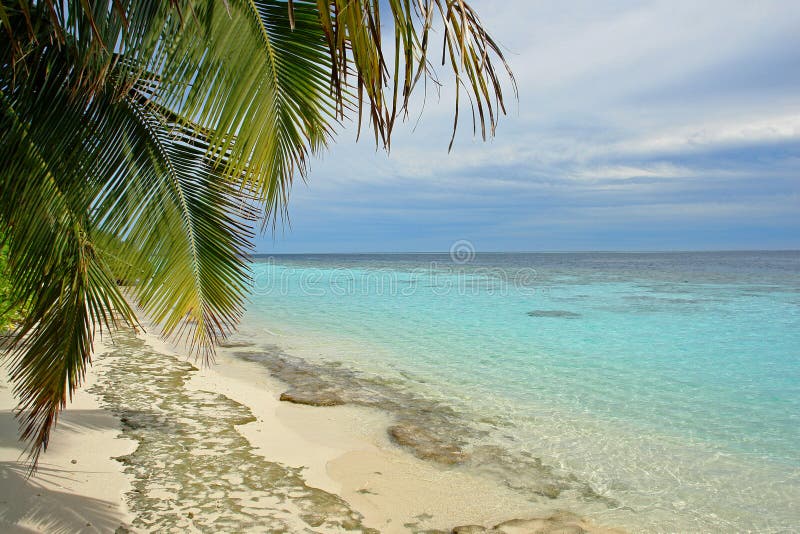 Tropisch Strand stock afbeelding. Image of boom, ontspan - 2482327