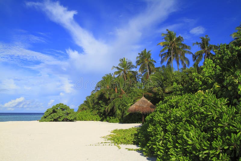 Tropisch strand stock foto. Image of atol, baai, zwemmen - 32905446