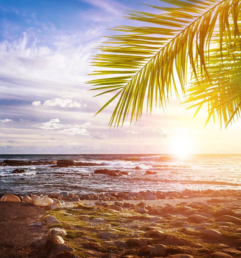 Tropisch strand stock foto. Image of paradijs, niemand - 32974966