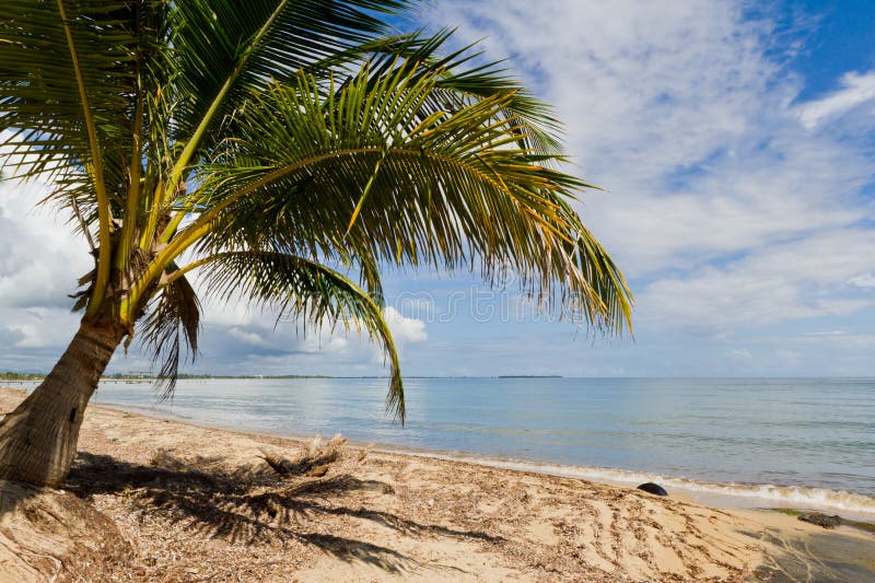 Tropisch strand stock foto. Image of groen, paradijs - 36052558
