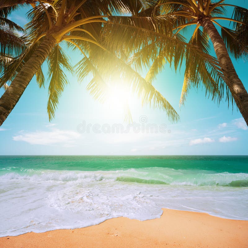 Tropisch strand stock foto. Image of vreedzaam, hemel - 40010348