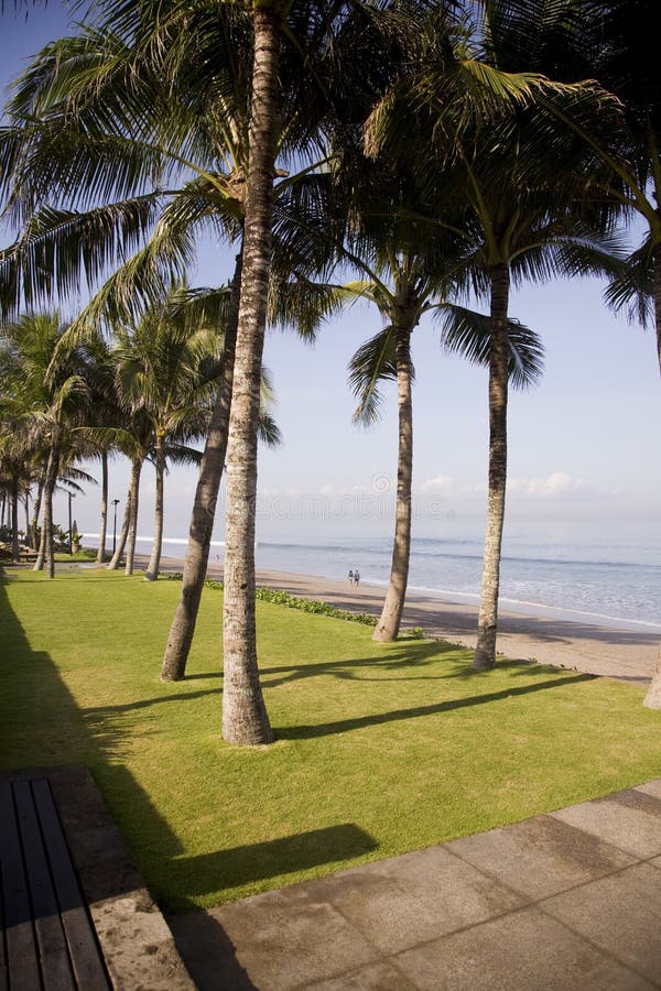 Tropisch strand stock afbeelding. Image of tropisch, overzees - 5718131