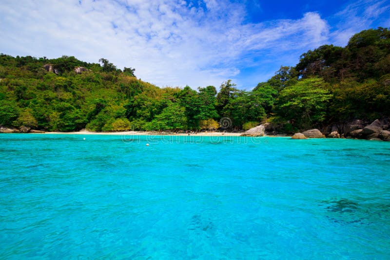 Tropische Glasheldere Overzees, Similan-eilanden Stock Afbeelding ...