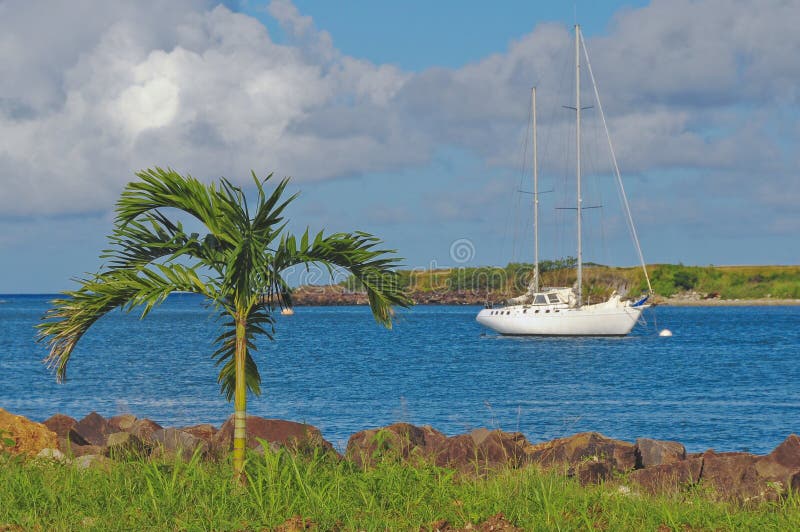 Tropische Inham stock afbeelding. Image of kustlijn, toevlucht - 4326919