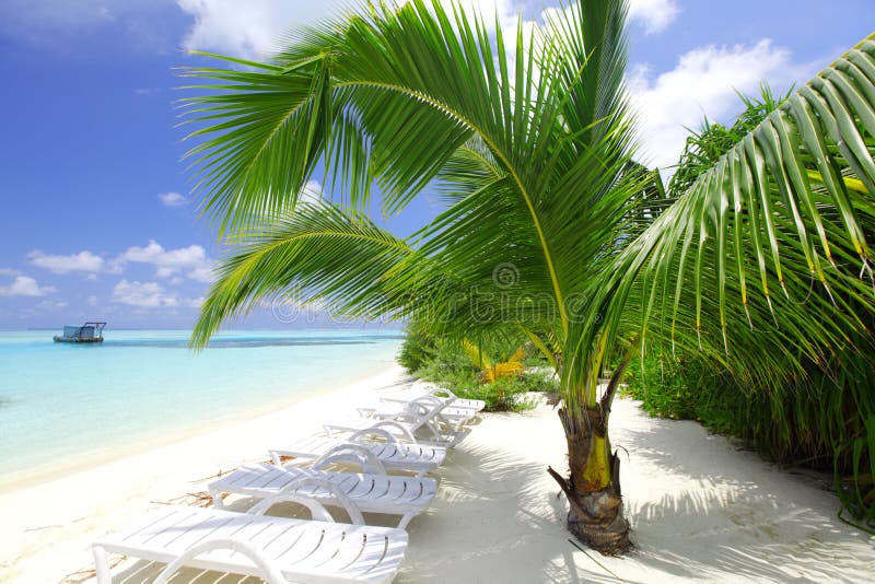 Tropische Insel stockbild. Bild von schön, malediven - 23354295