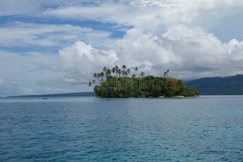 Tropische Insel stockbild. Bild von polinesien, inseln - 41186321