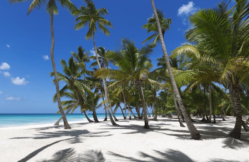 Tropische Insel stockbild. Bild von bahamas, bermuda - 54269661