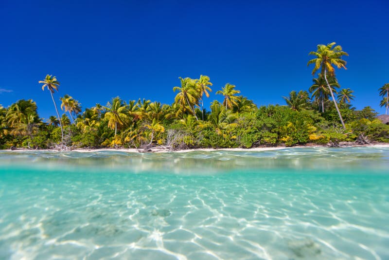 Tropische Insel Oben Und Unterwasser Archivbilder - Abgabe des Download ...