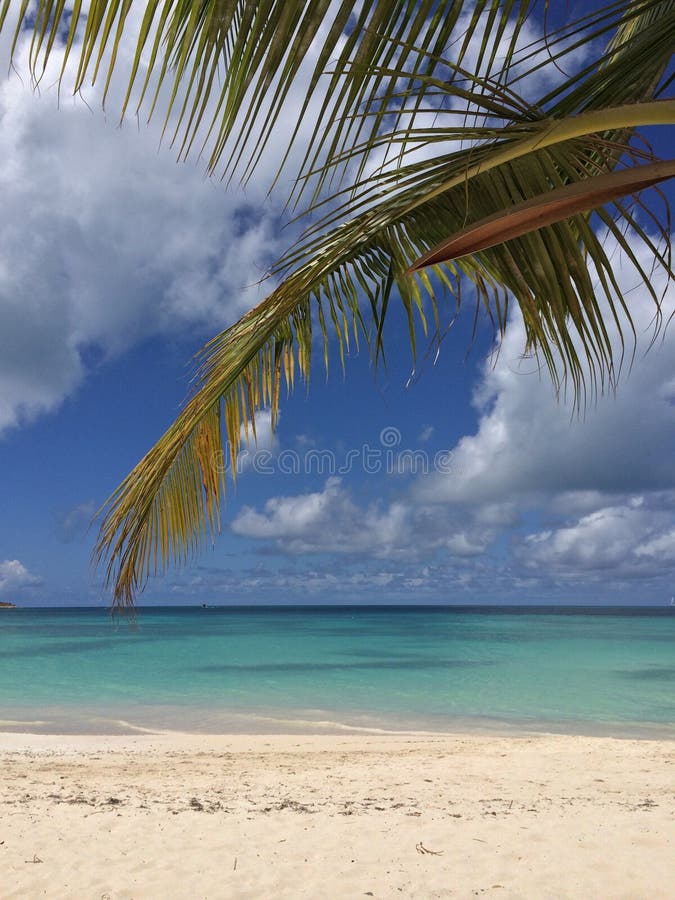 Tropische Landschaft stockfoto. Bild von meerblick, nave - 39636764