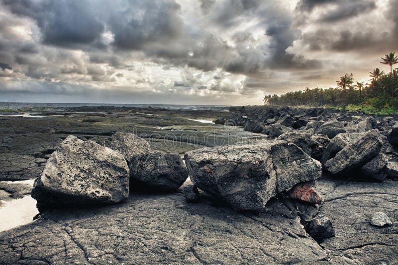Tropische Lavastrand- Und -palmen Stockbild - Bild von rücksortierung ...