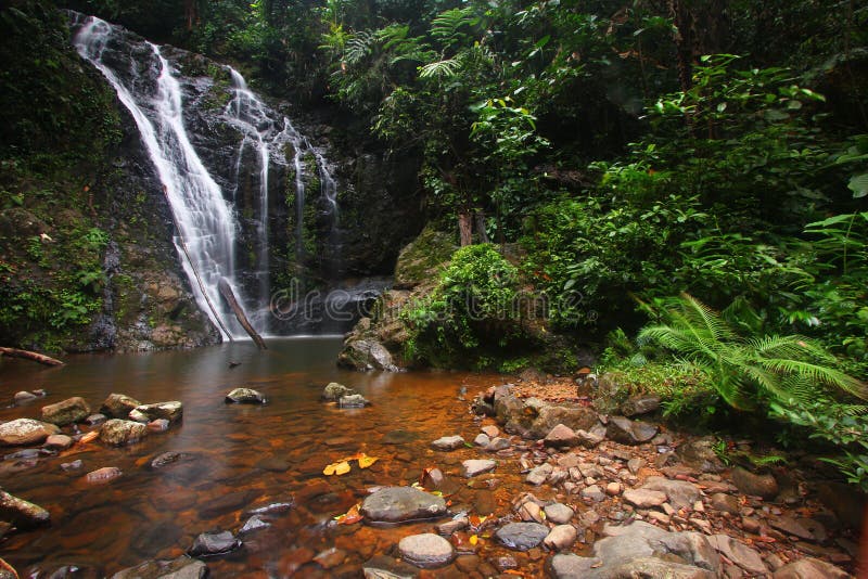 Tropische Regenwoudwaterval Stock Foto - Image of tropisch, kreek: 21495658