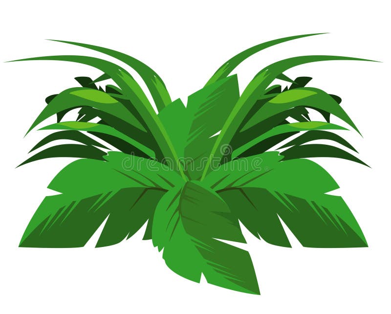 Struik Stock Illustrations, Vectors, & Clipart – (167,718 Stock ...