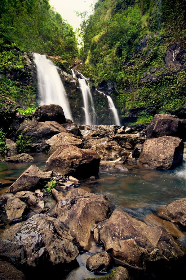 Tropische Waterval stock afbeelding. Image of reis, maui - 39478723