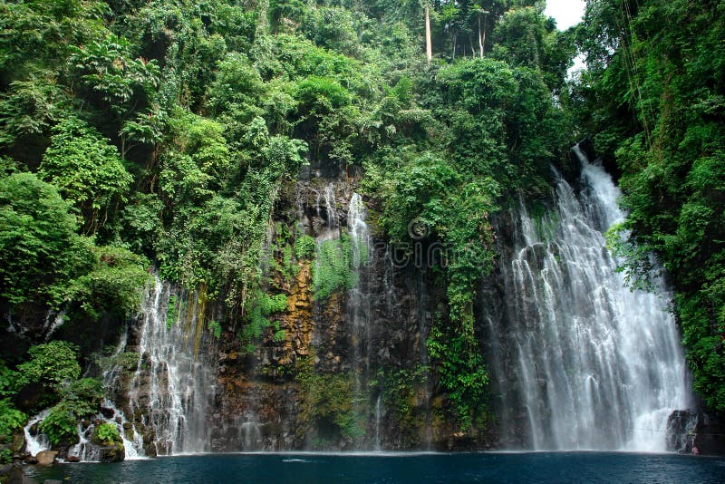 Tropische Waterval in Wildernis Stock Foto - Image of panorama ...