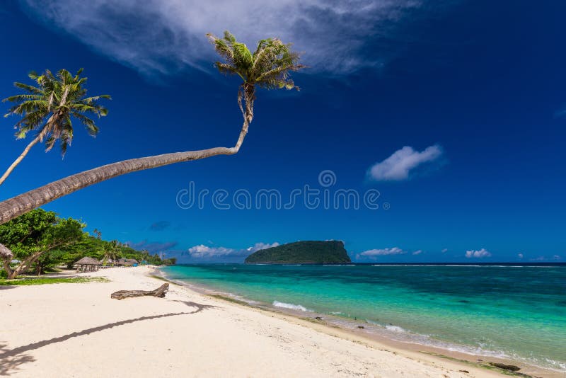Tropischer Lalomanu-Strand Auf Der Insel Samoa Mit Kokospalmen ...