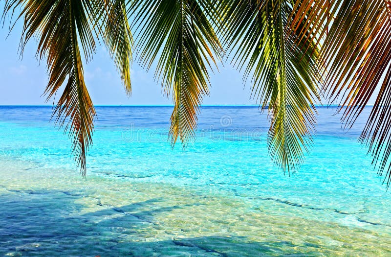 Tropischer Meerblick stockbild. Bild von oase, atoll - 27995101