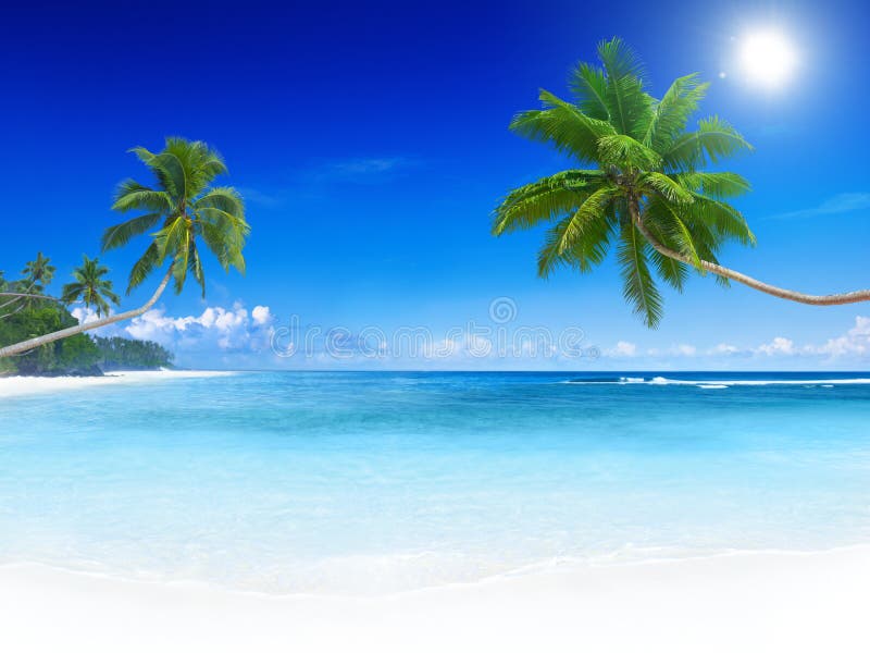 Tropischer Paradies-Strand Mit Palme Stockbild - Bild von klima, schön ...