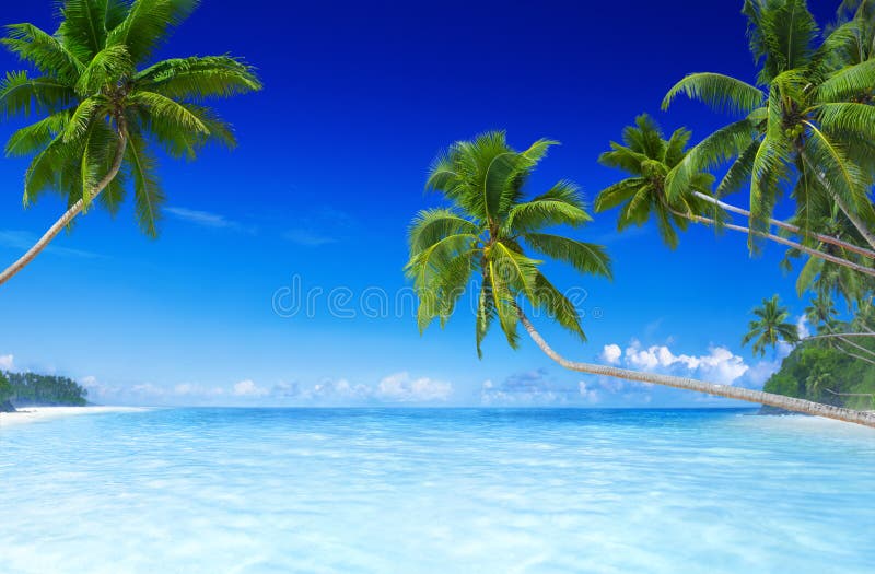 Tropischer Paradies-Strand Mit Palme Stockbild - Bild von exoticism ...