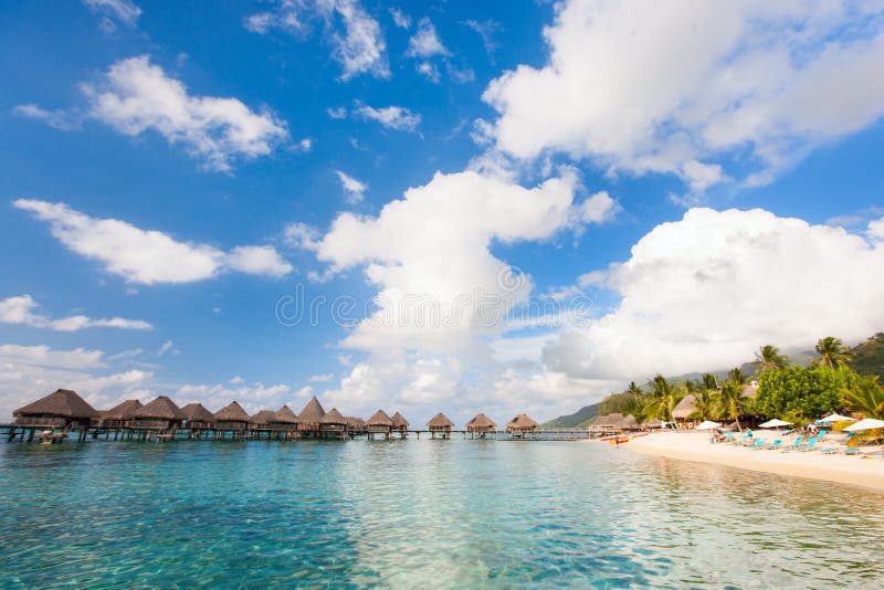 Tropischer Strand Auf Moorea-Insel Stockfoto - Bild von idyllisch ...