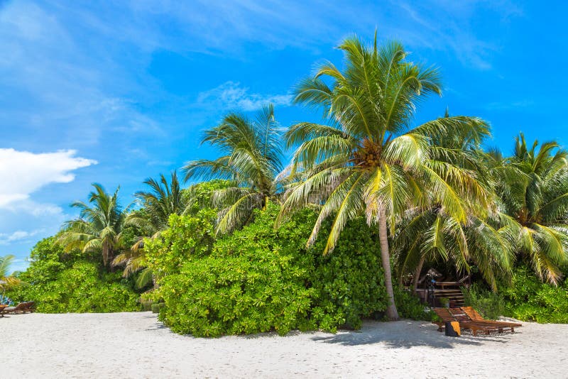 Tropischer Strand in Den Malediven Stockfoto - Bild von hawaii, blau ...