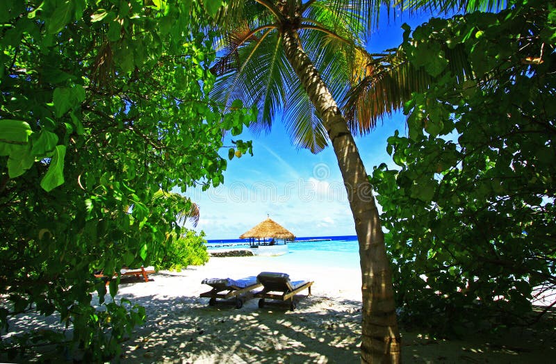 Tropischer Strand Maldives stockbild. Bild von koralle - 46528975