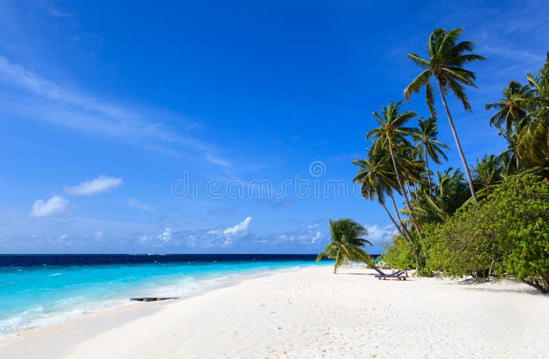 Tropischer Strand in Malediven Stockfoto - Bild von strand, palme: 43416574