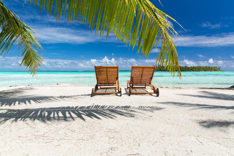Tropischer Strand Mit Palme Und Sunbeds Stockfoto - Bild von exotisch ...