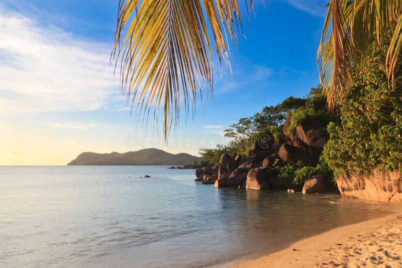 Tropischer Strand am Sonnenuntergang Stockfoto - Bild von idyllisch ...