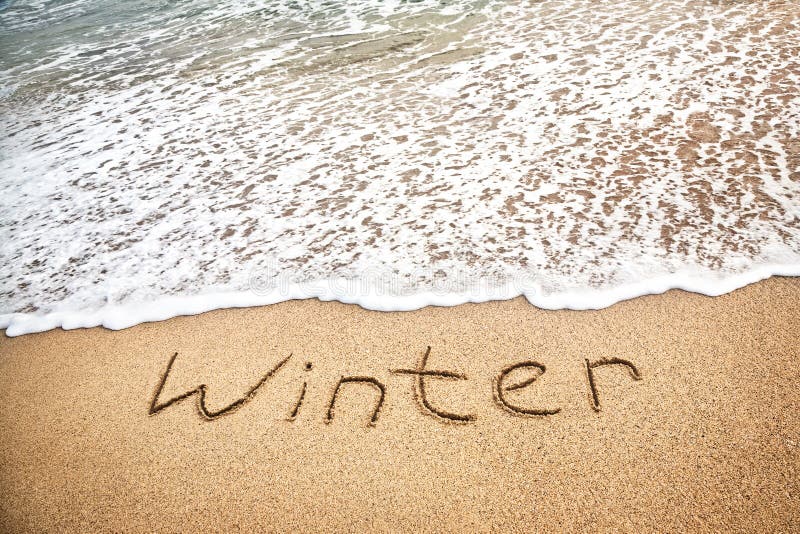 Tropischer Winter stockfoto. Bild von indien, meldung - 28007278