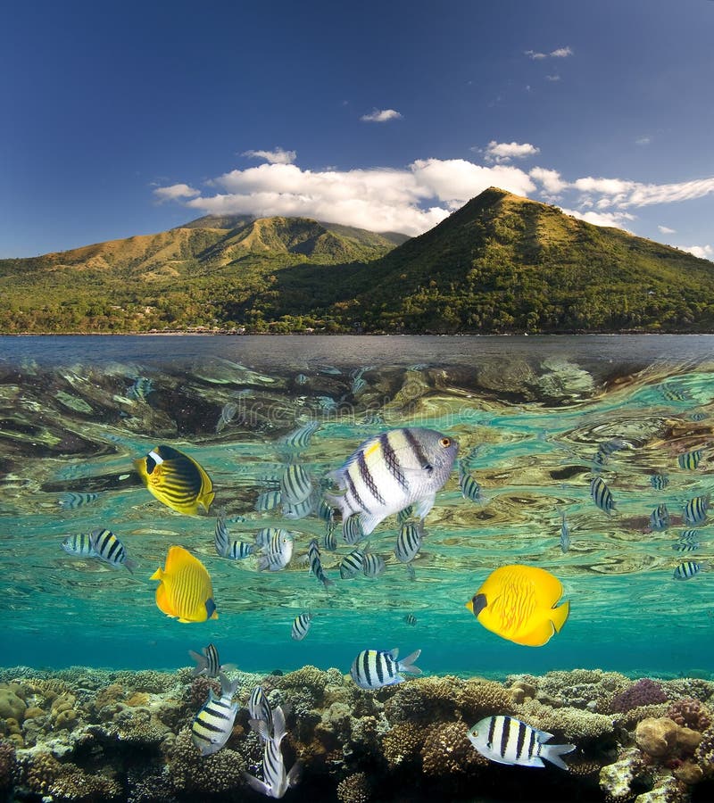 Tropisches Paradies stockfoto. Bild von marinesoldat - 17603212